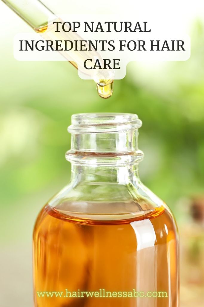 Unlock the Secrets: Best Ingredients for Moisturizing Hair - DIY ...